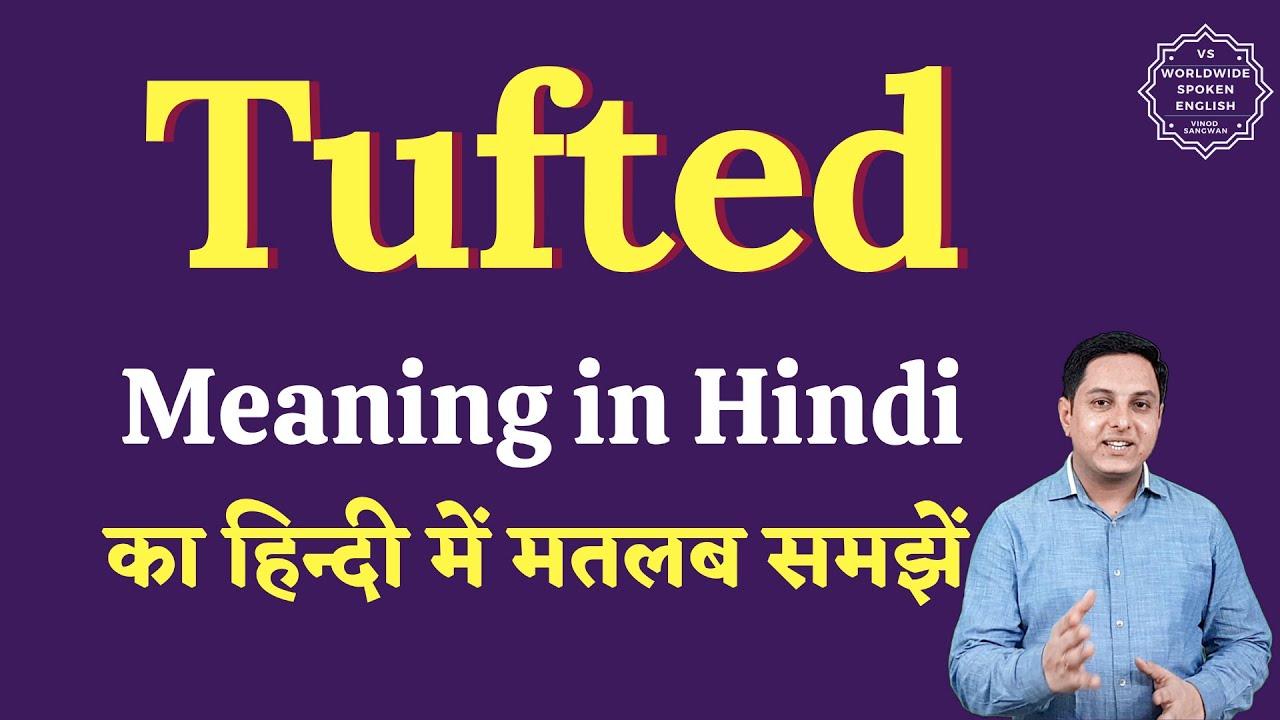 Tufted meaning in Hindi | Tufted ka matlab kya hota hai | English ...