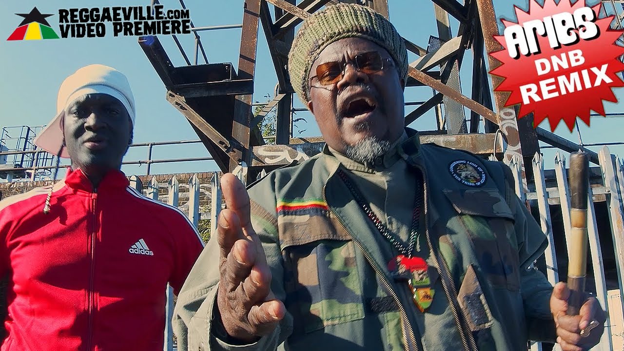 Blackout JA & Luciano - Positive Contemplation (Aries & Gold Dubs Remix ...