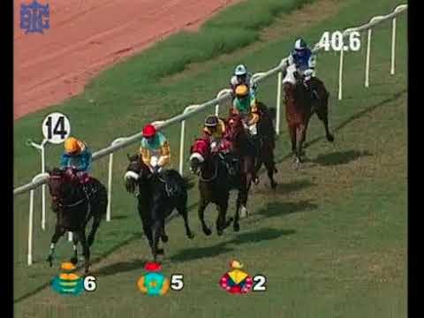 The Squanderer Trophy WINNER: SECRETIVE FORCE - YouTube