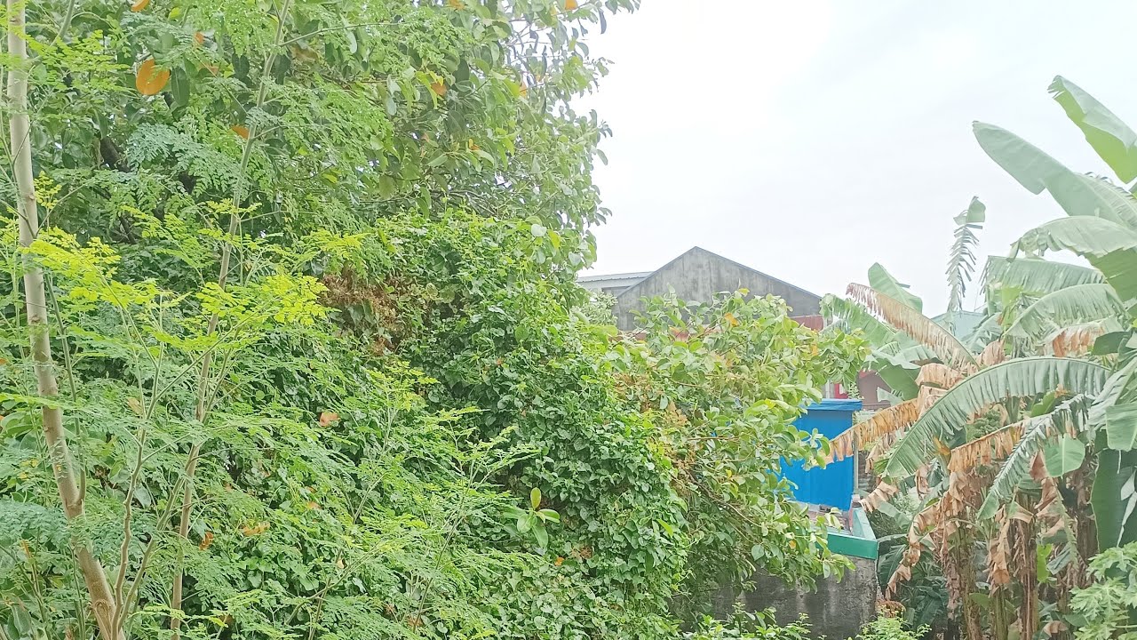 makulimlim na umaga 4/13/23 - YouTube