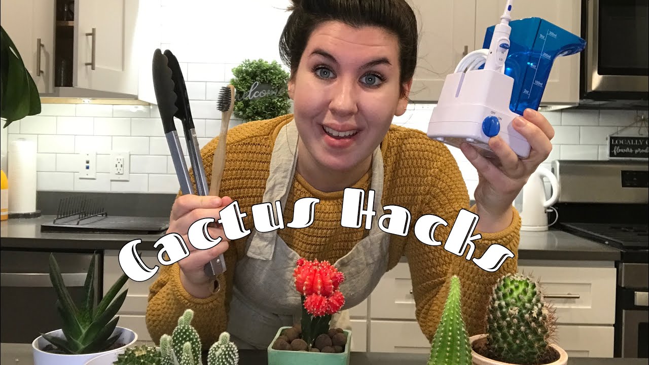 Cactus Hacks - Tips and Tricks For Cacti Care - YouTube