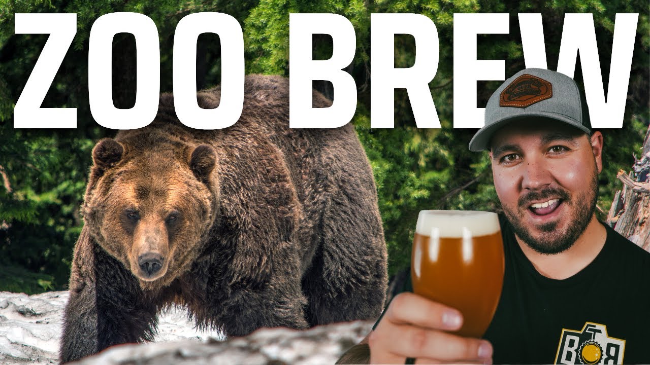 A BEER with a Grizzly BEAR | Calgary ZooBrew 2022 - YouTube