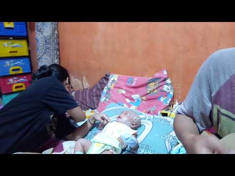 Momong cucu
