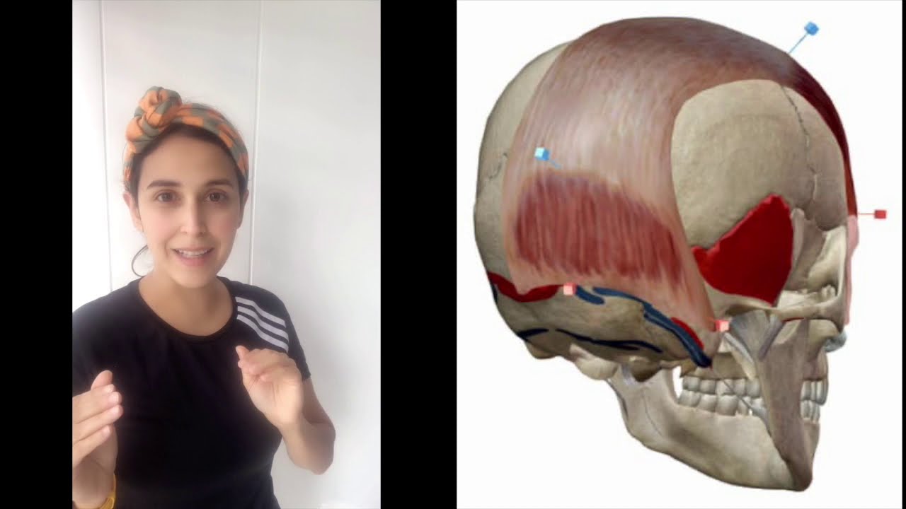 Yoga Facial Area Frontal - Face Yoga Forehead - YouTube