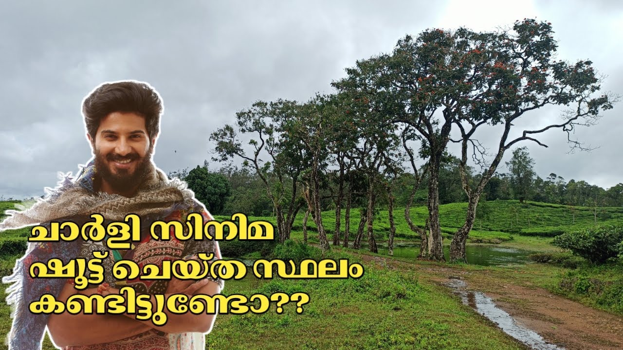 ചാർളികുളം | Charlie Movie Location | Ladram Estate | LADRUM GLPS - YouTube