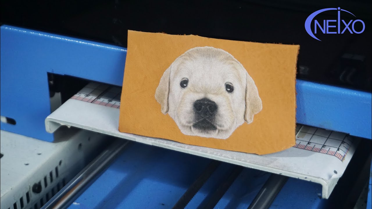 Neixo printer factory A4 UV desktop leather printing machine - YouTube