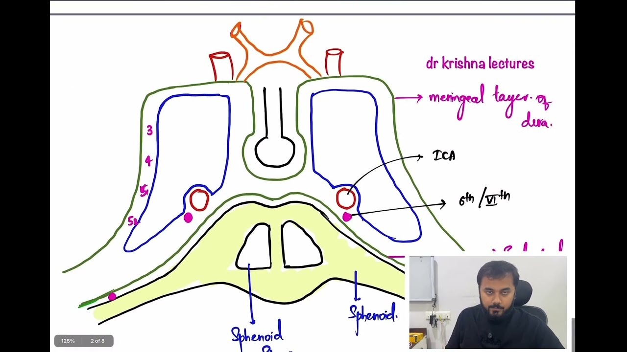 Cavernous sinus contents | High-Yield | Dr.Krishna sahith - YouTube