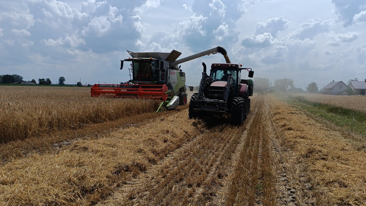 Żniwa 2024. class Trion 640& case mx 120 - YouTube