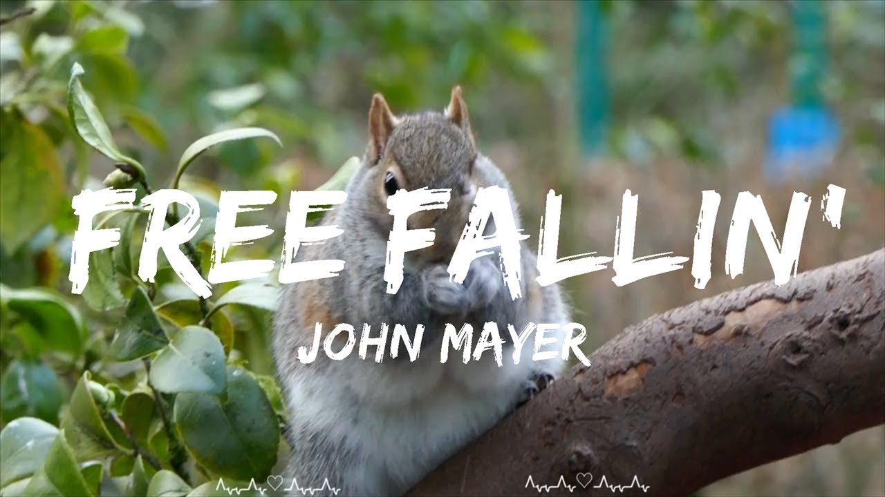 John Mayer - Free Fallin' (Lyrics) || Blair Music - YouTube