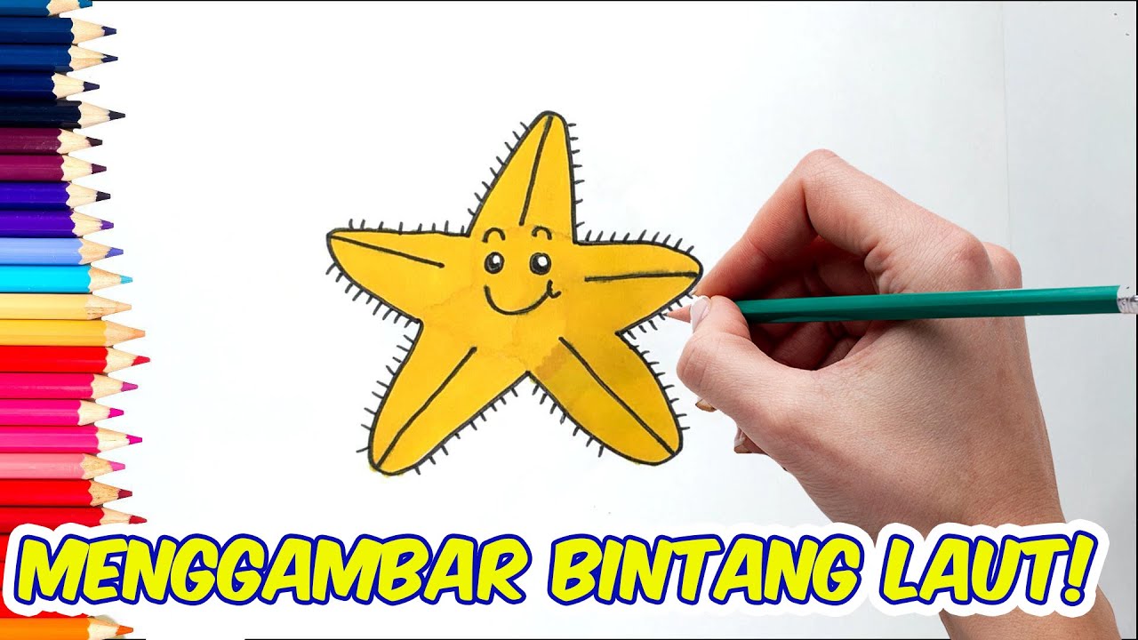 Menggambar Bintang Laut! Starfish Easy step-by-step Drawing - YouTube