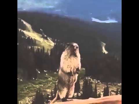 şu an ki ruh halim :D