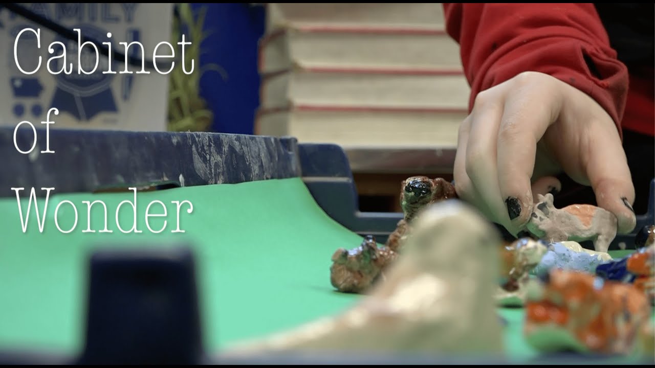 Cabinet of Wonder-MicroDoc - YouTube