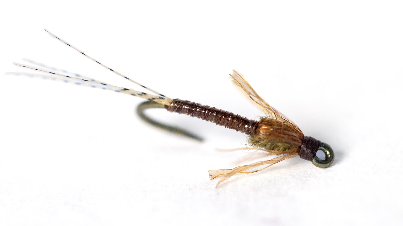 Boroff's Crunchy Mayfly Nymph - YouTube