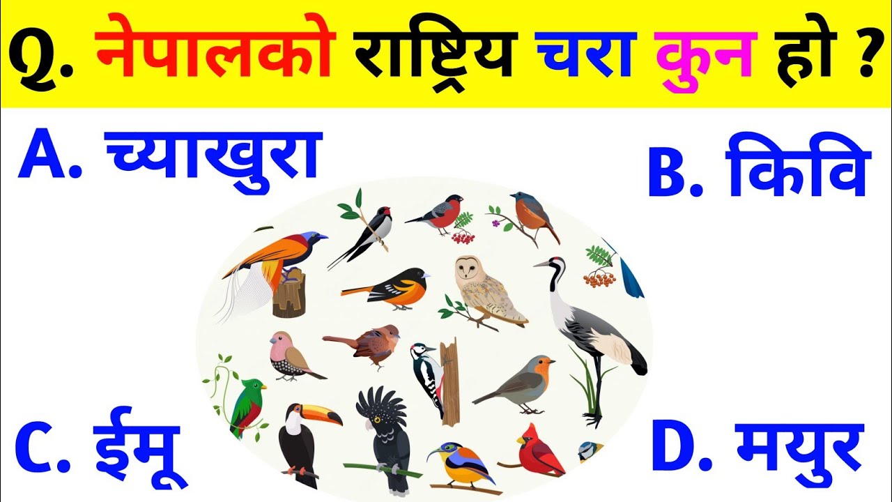 नेपालको राष्ट्रिय चरा कुन हो ? | gk questions and answers | ak general knowledge | gk in nepali ...