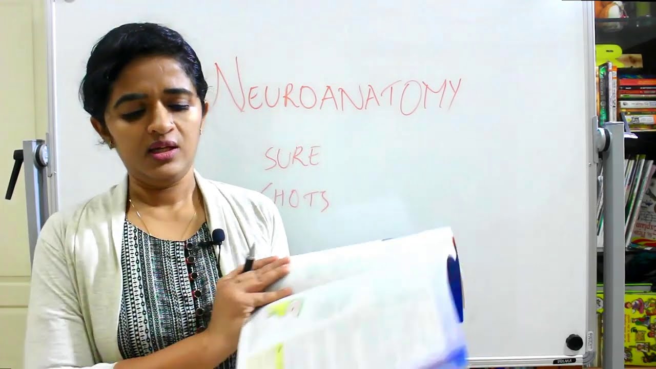 MUST KNOW EXAM TOPICS-PART 5-NEUROANATOMY FOR UNDERGRADUATE MEDICAL ...