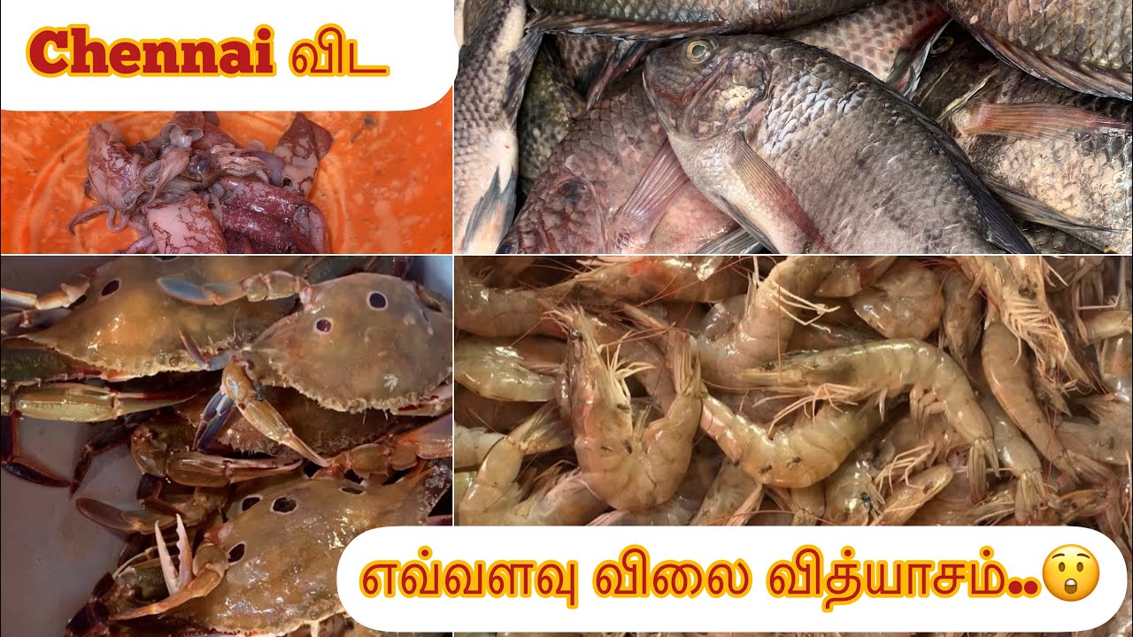 Fish rates are higher than Chennai/local fish market/ fish purchase ...