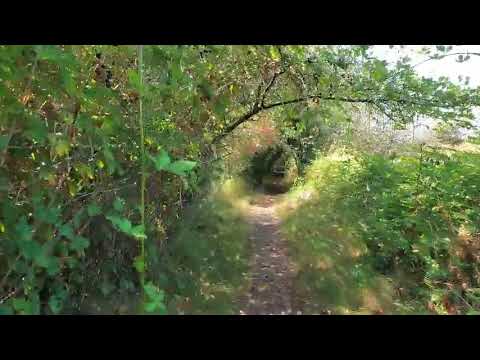 Pixnet_海琪愛出遊 0826 13 Serpentine Fen - YouTube