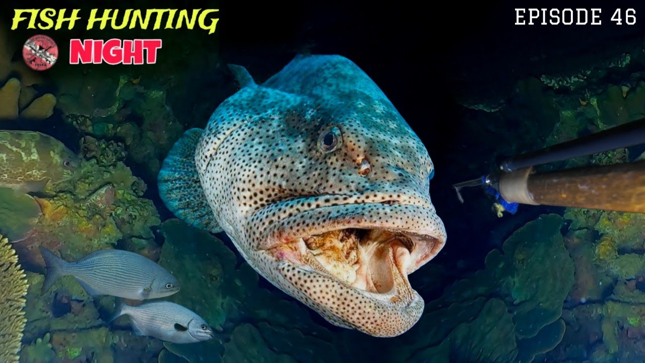 NIGHT SPEARFISHING EPISODE 46 | FISH HUNTING NIGHT - YouTube