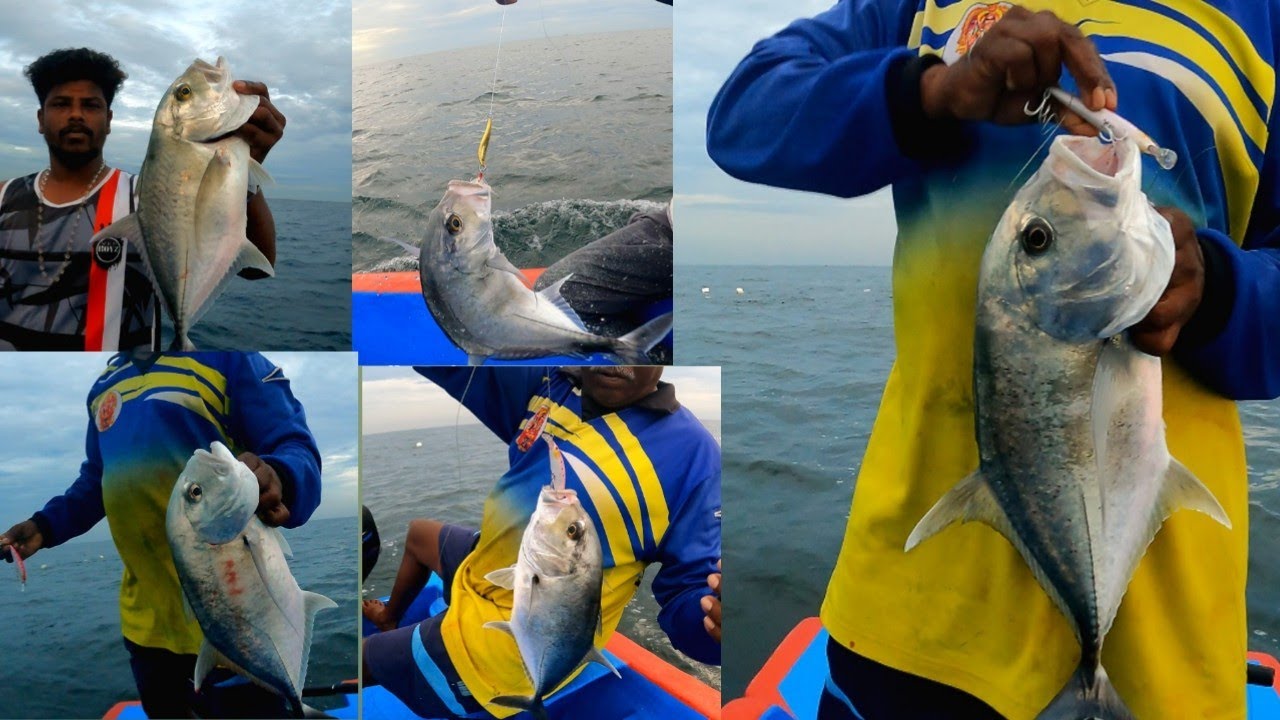 Amazing Giant Trevally Fish Catching Back to Back In The Sea - YouTube