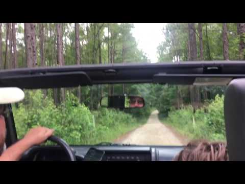 Exploring Tuskegee National Forest