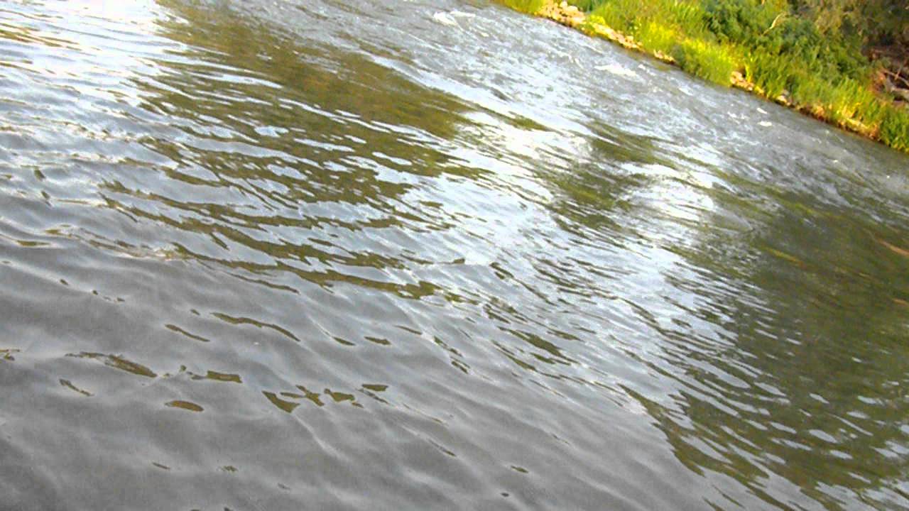 PORIBUVANJE NA REKA VARDAR-MRENA - YouTube