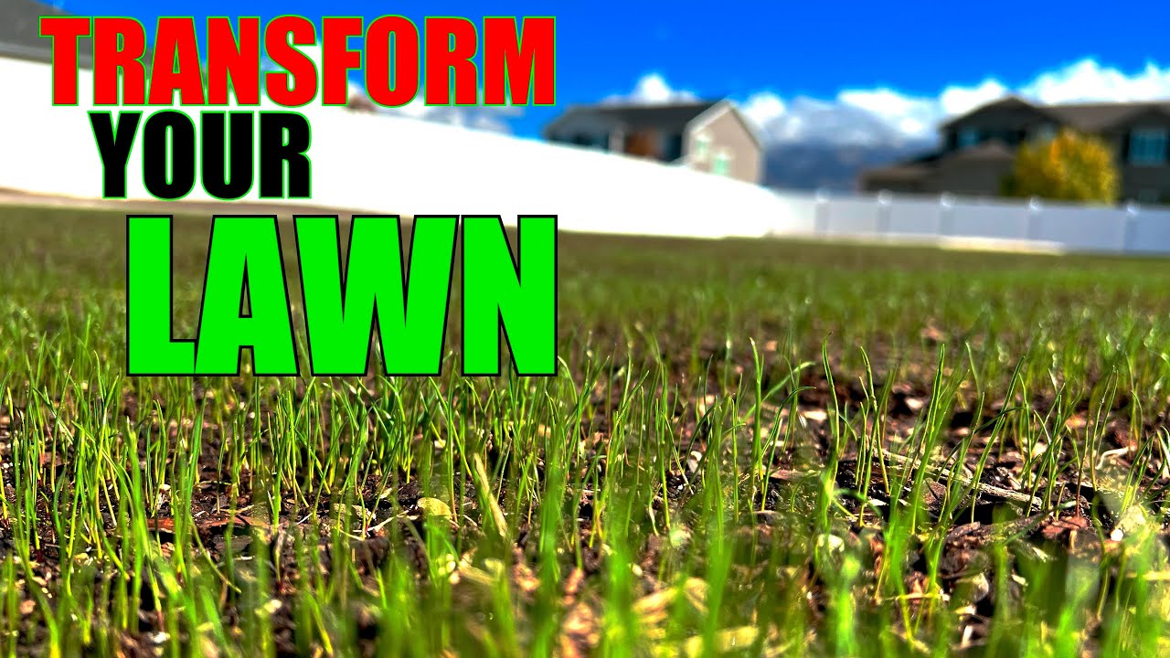 Final Steps To A Lawn Renovation - MUST SEE DIFFERENCE - YouTube
