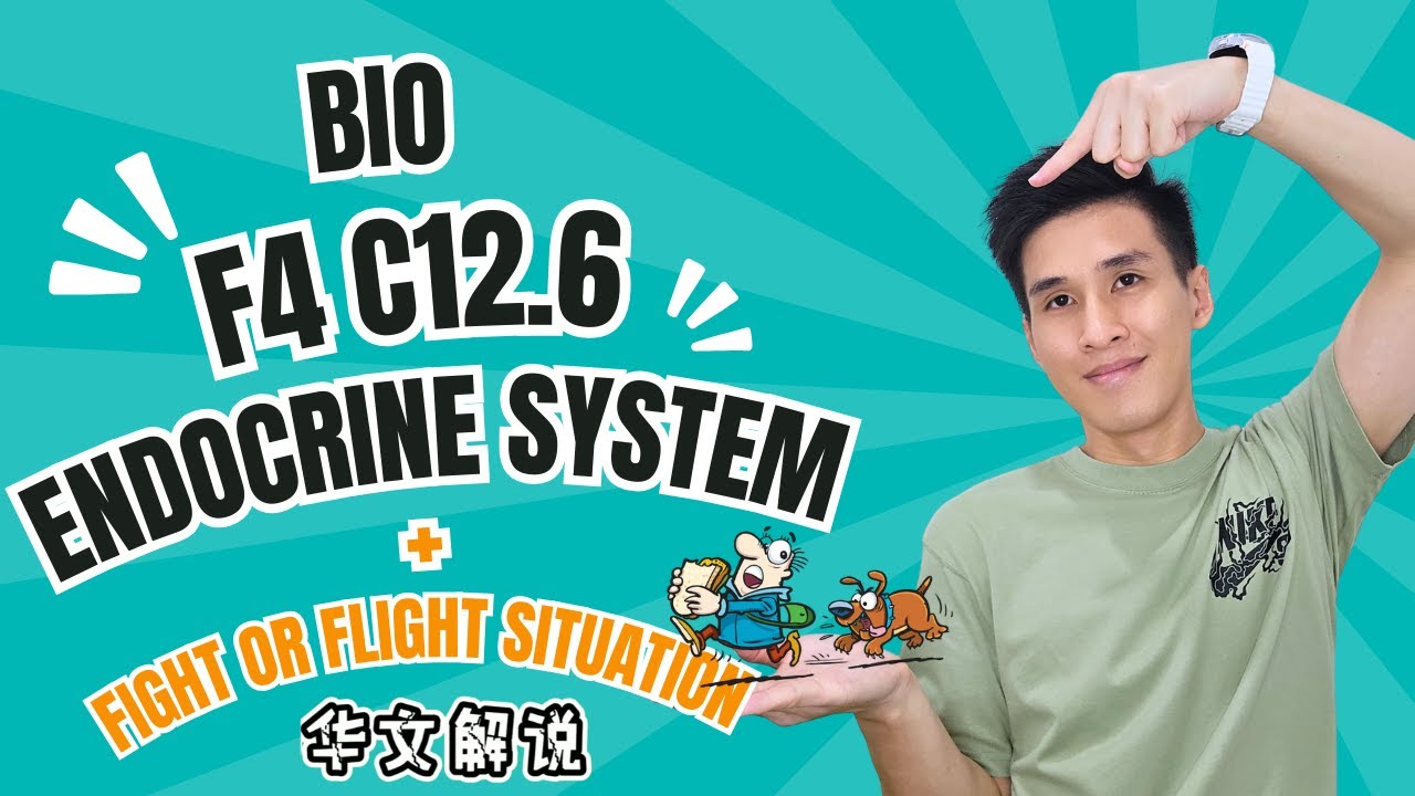 【华文】SPM BIO F4 C12.6 Endocrine System 一起做问题 | also got fight or flight ...