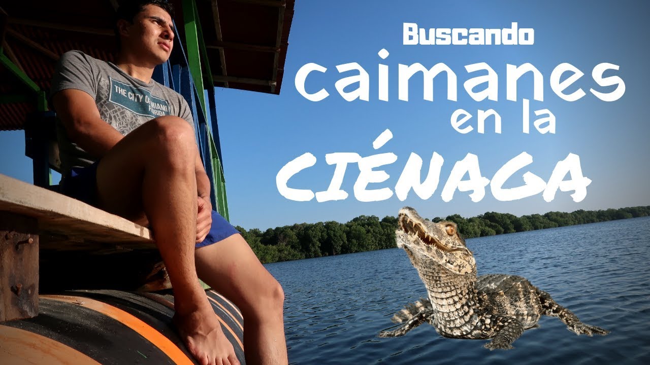 La Ciénaga de la Caimanera - Coveñas #Paisaventuras - YouTube