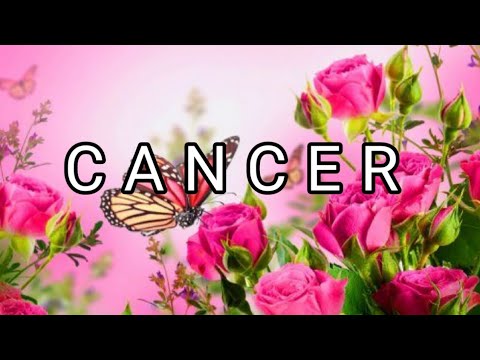 ♋️ CANCER LOVE TAROT READING TODAY: BIG BLESSINGS | - YouTube