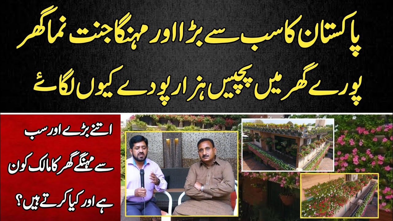 An Exclusive interview Of Amir Sadeeq|Hosted By Raja Naseer Fazal|Raja ...
