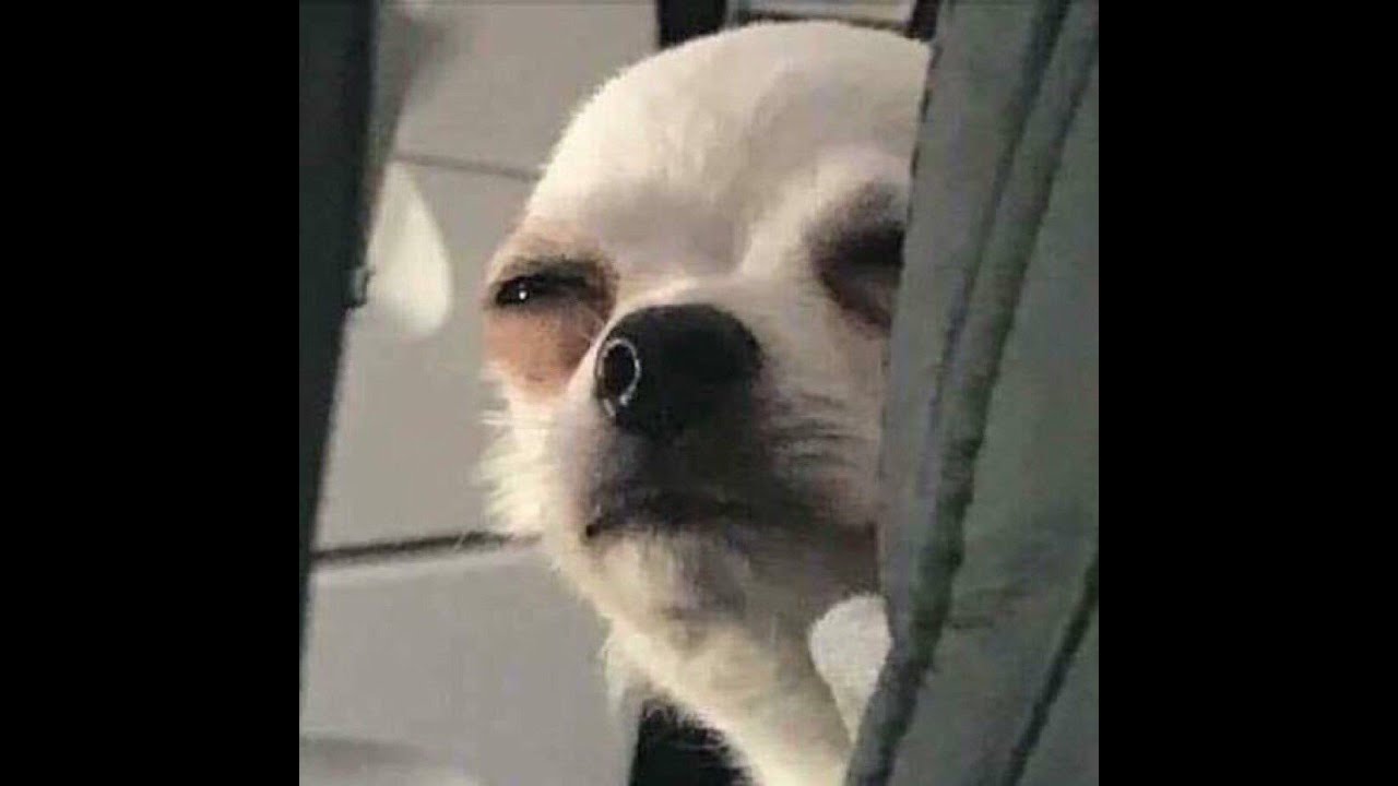 THO random clip 1 ;) - YouTube