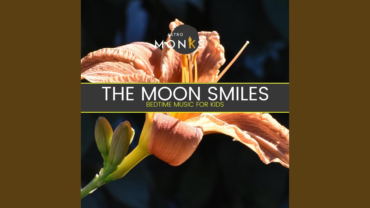 Divine Feeling - Spiritual Halo: Song Lyrics, Music Videos & Concerts