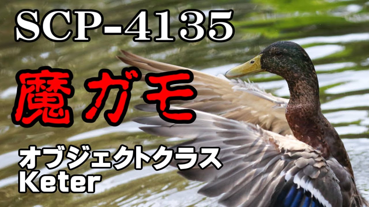 【聴くSCP】SCP-4135『魔ガモ』 - YouTube