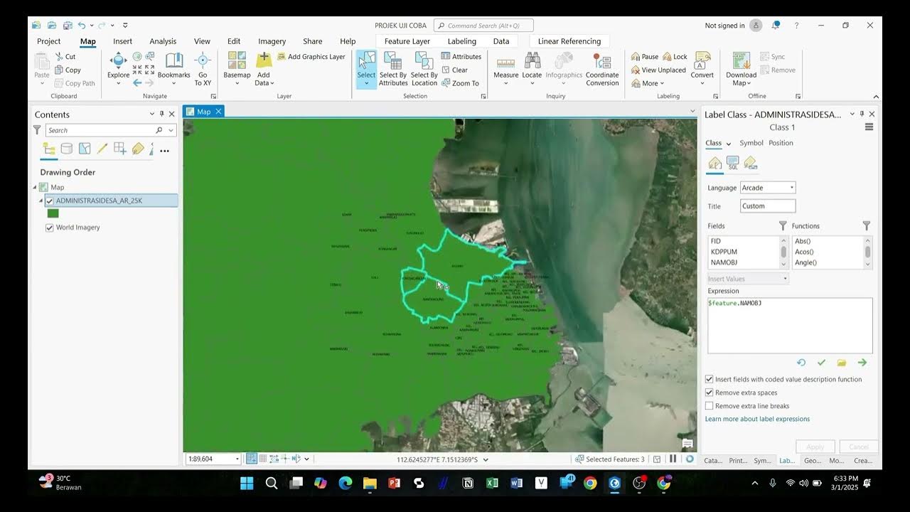 Tutorial memasukan batas wilayah dan kontur pada Arcgis Pro - YouTube