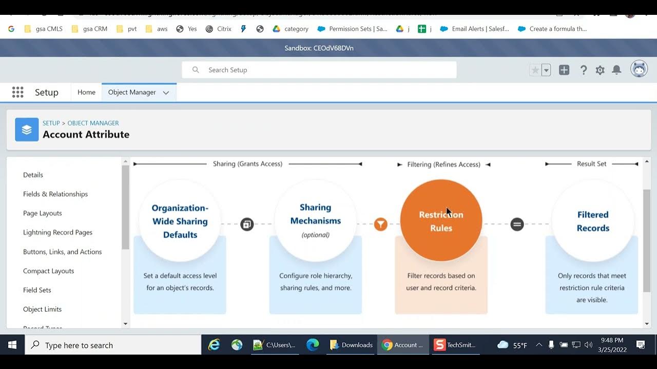 How to create Salesforce Restriction Rules - YouTube
