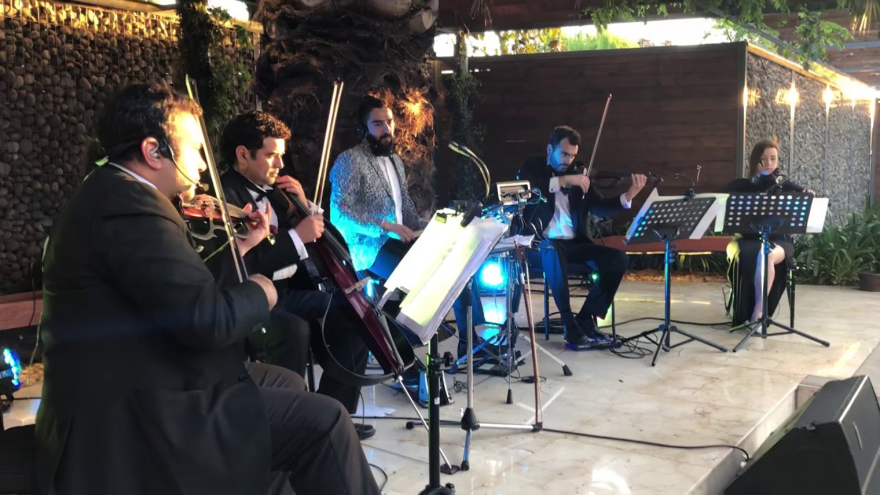 Animals by Martin Garrix String Quartet - YouTube