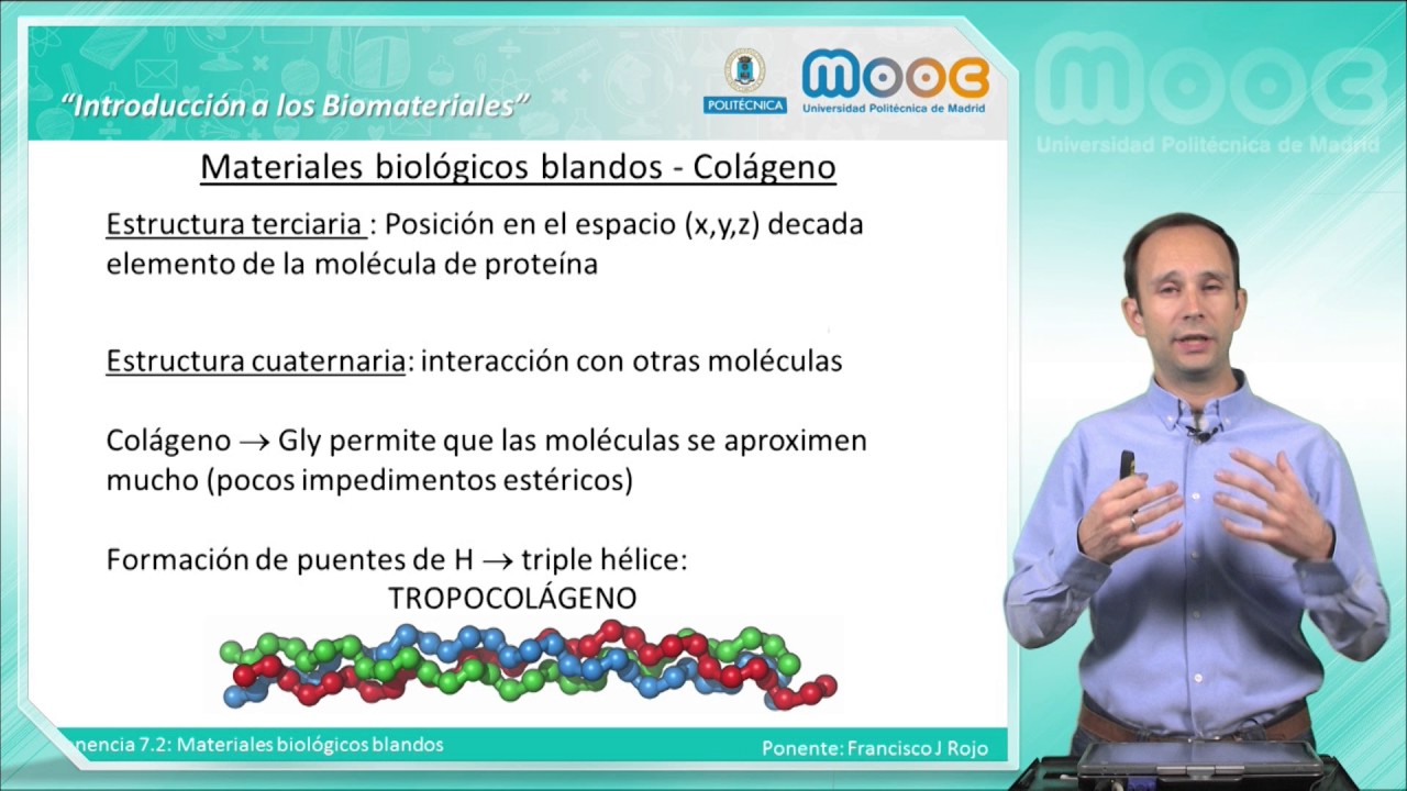 MOOC Biomateriales: 7.2 Materiales biológicos blandos (I) - YouTube