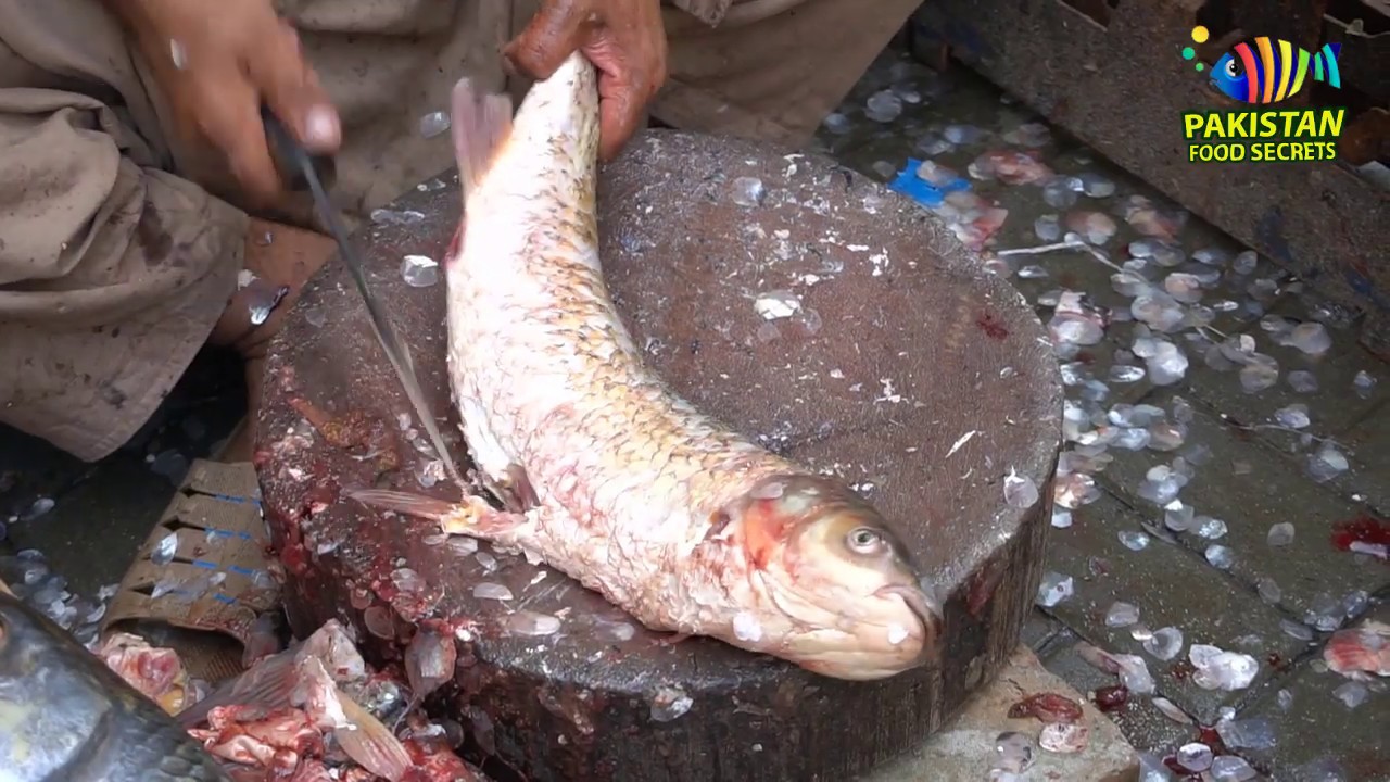 The Great Mahseer of Pakistan | Rohu Fish Cutting Skills ...