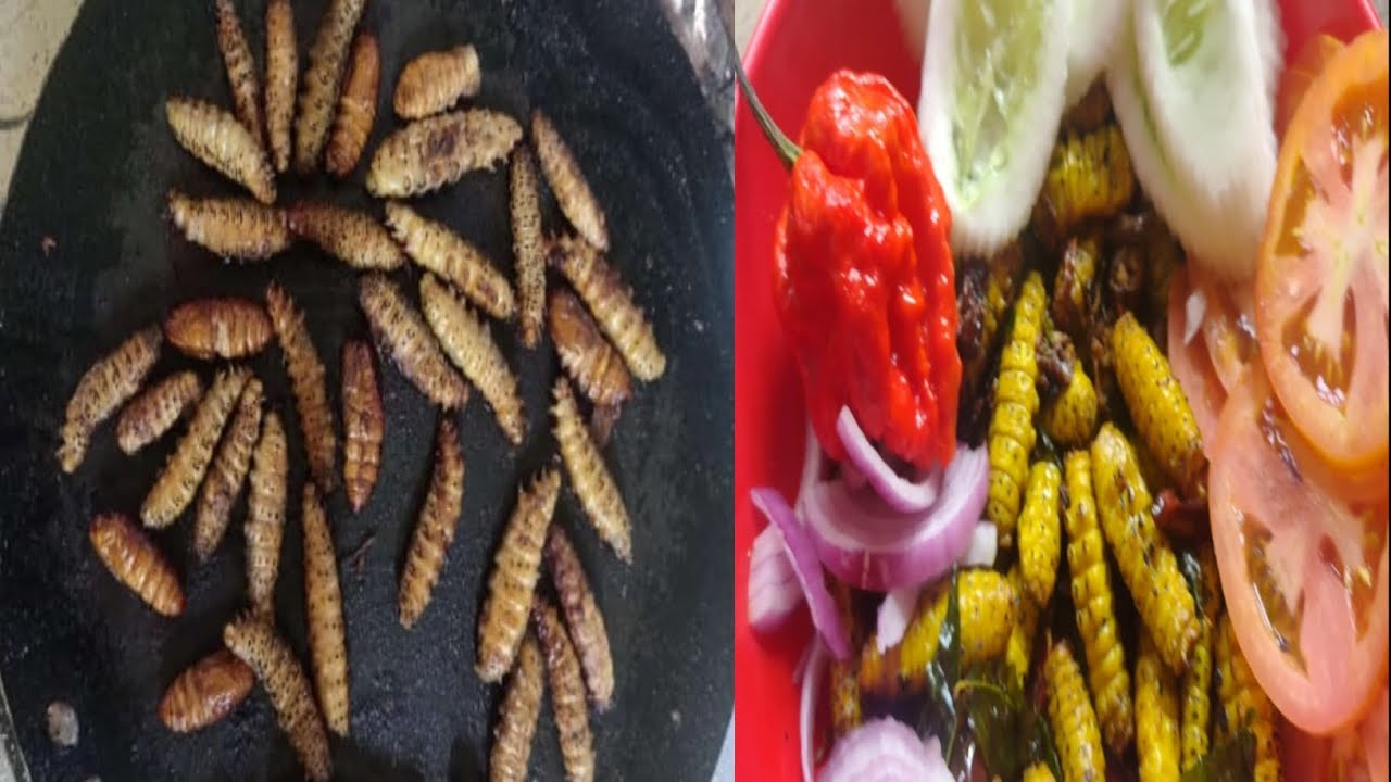 Silkworm recipe | Polu fry | Silkworm fry | Assamese traditional recipe ...