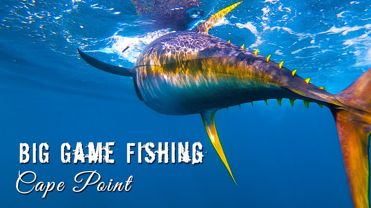 BIG GAME FISHING for MONSTER Yellowfin Tuna at Cape Point - YouTube