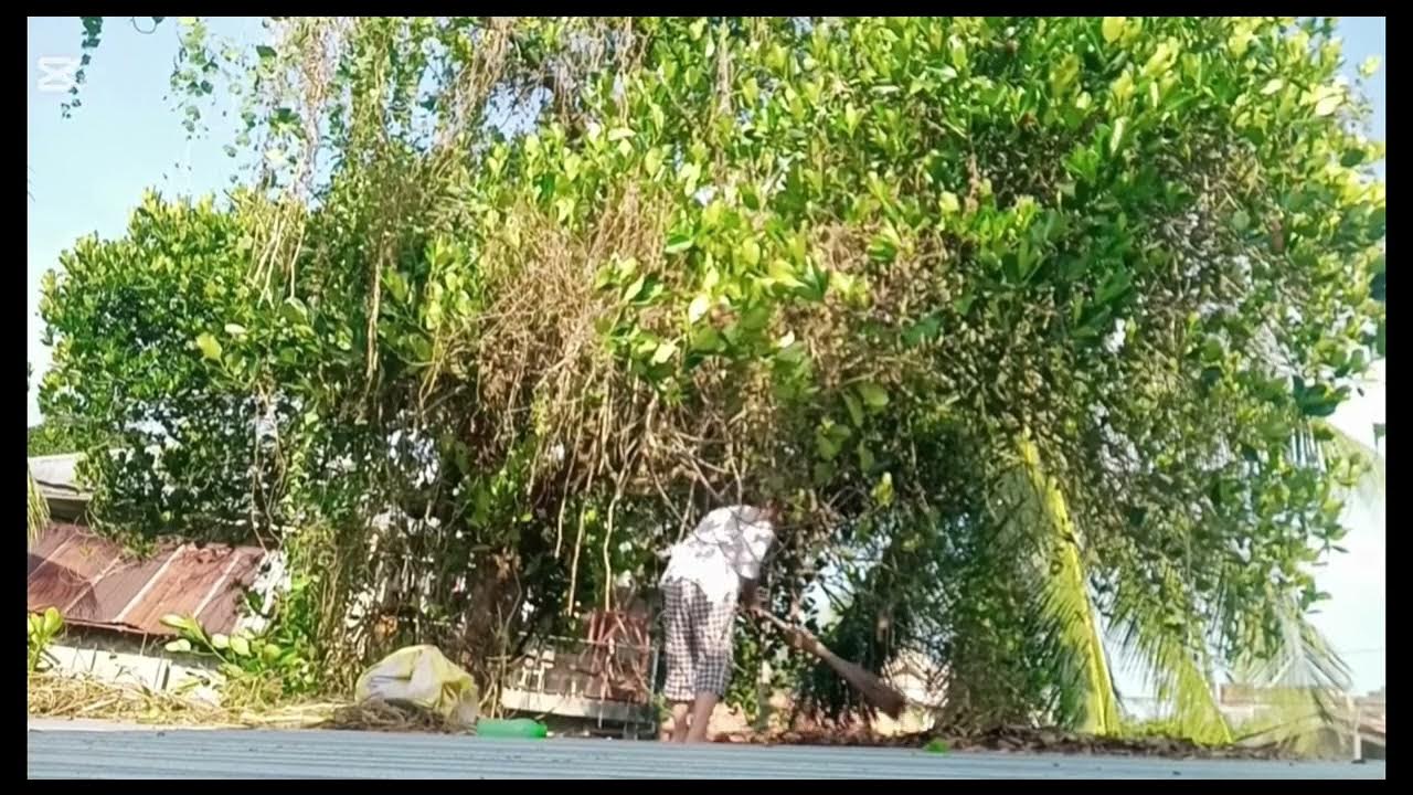 BUHAY PROBINSYA PART TWO LINIS NG BUBONG 😆 #samalisland #nature - YouTube