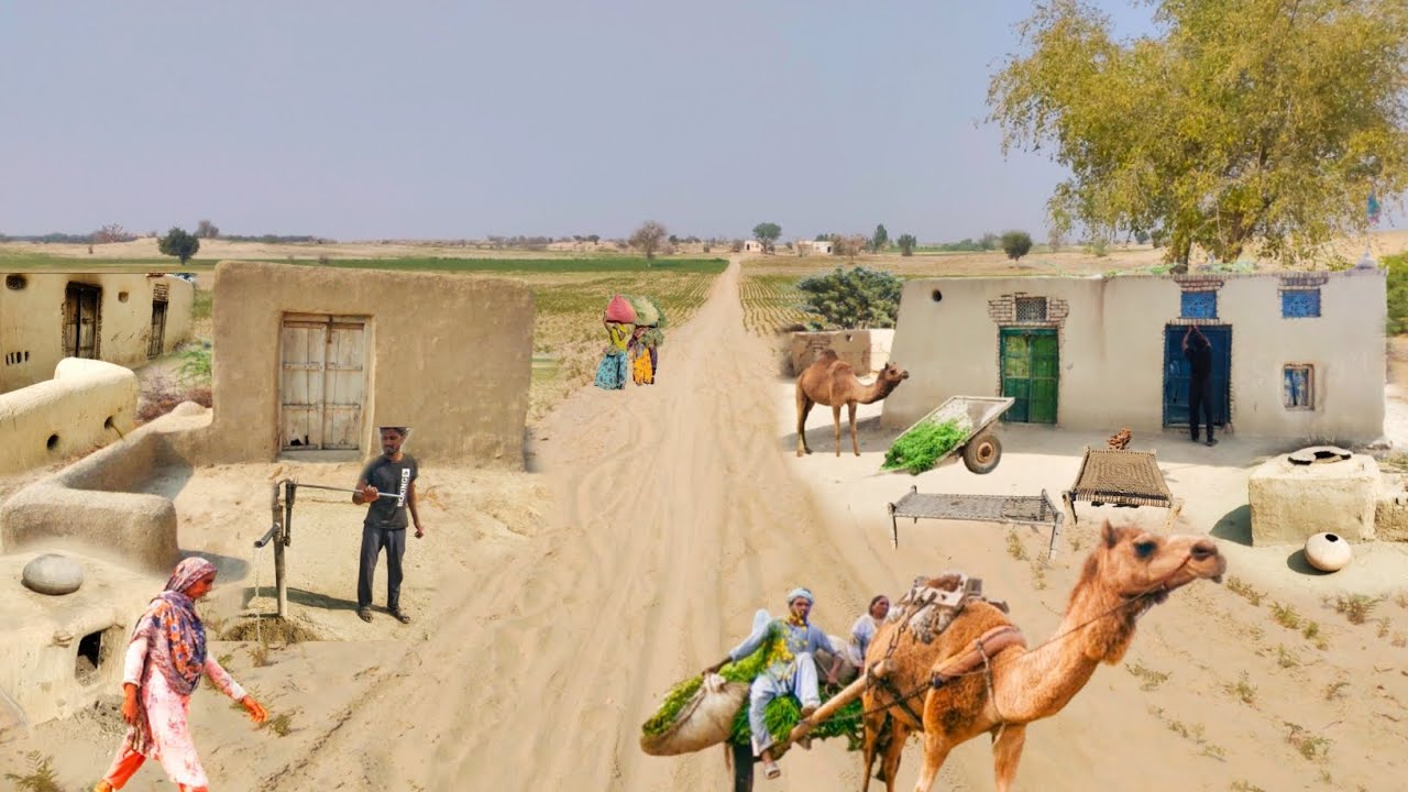 Traditional Desert Village Life in Pakistan | Mud House | Old Culture ...