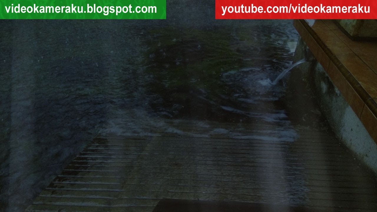Rain Sounds (Moderate Drizzle) at Night - 1 Hour Live Recording January ...