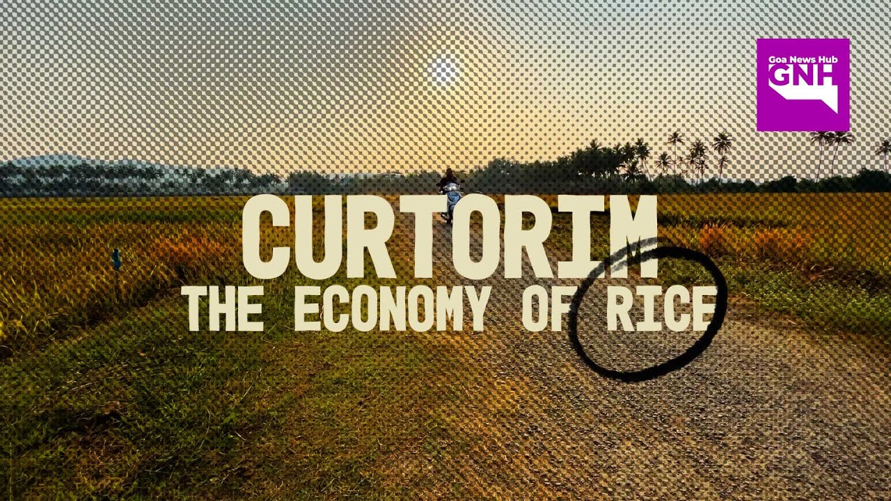 HUB EXPRESS: Curtorim - Economy of Rice - Episode 01 - YouTube
