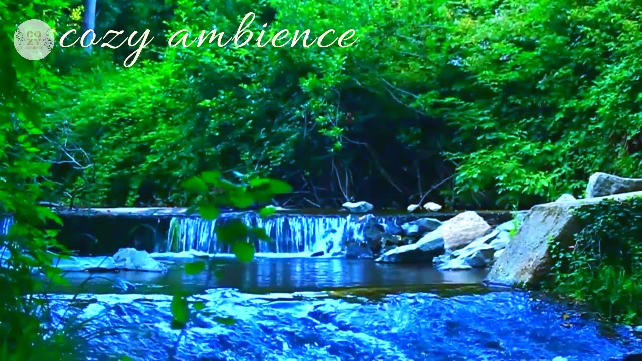 🌲🌊 LUSH GREEN FOREST AMBIANCE WITH PEACEFUL RIVER SOUND | COZY FOREST ...