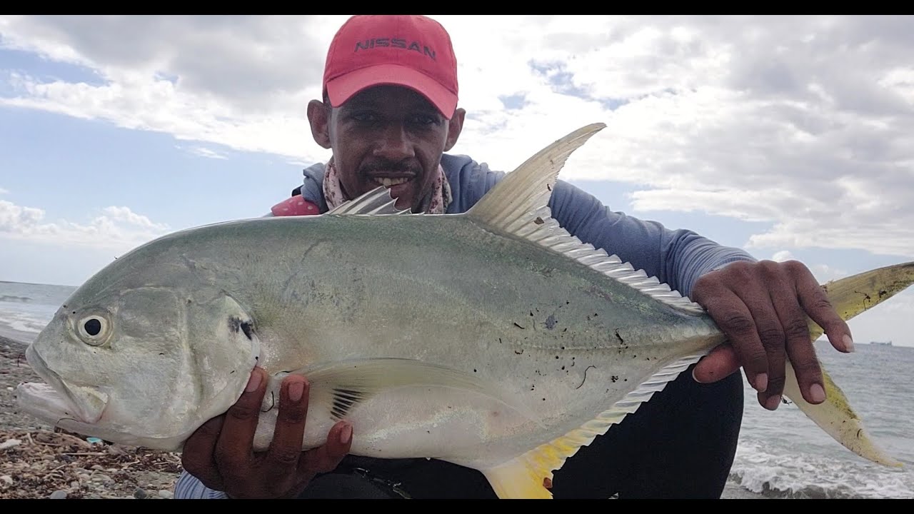 How To Catch Jack Crevalle on Bucktail - YouTube