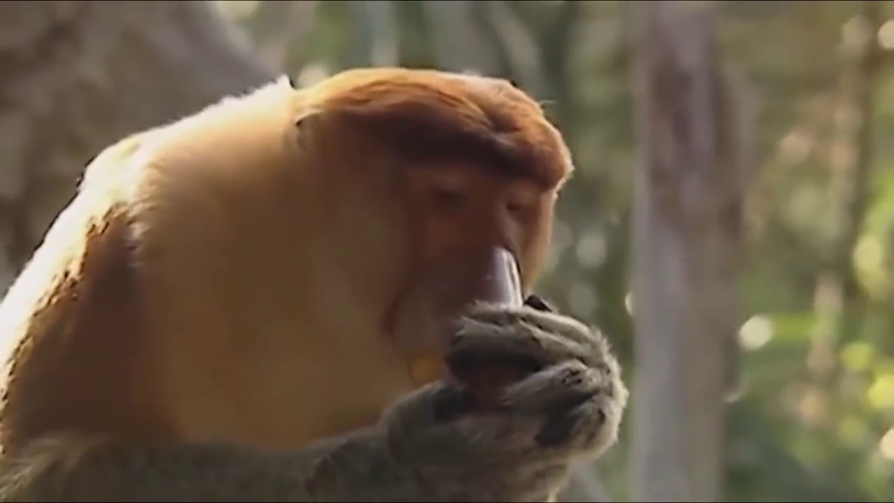 Kiedys to było TYPOWY JANUSZ - YouTube