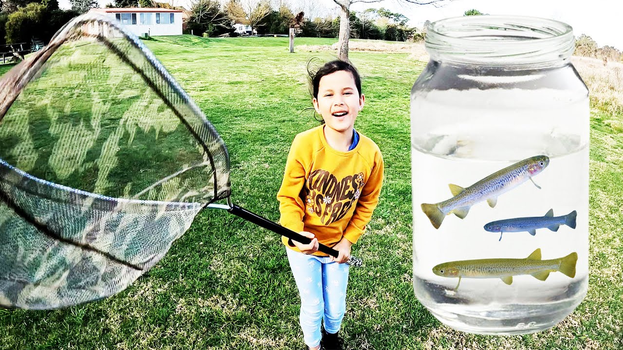 Zoe Catching Pet Fish In The Pond For Her New Aquarium Tiny Little Fish ...