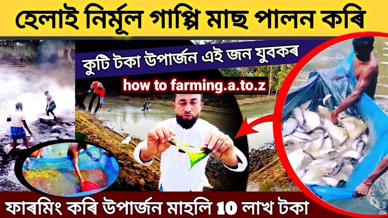 How to Farming fish Processing | New Business Ideas 2024| Fish Farming ...
