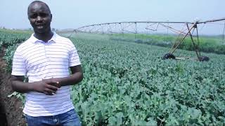 Garden Fresh Rwanda